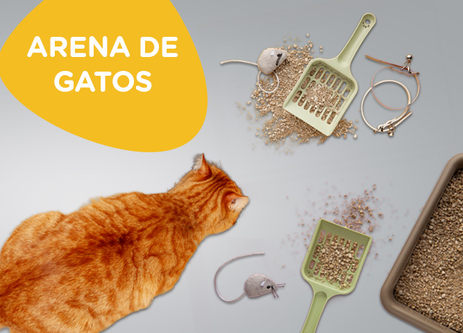 Arena Gato - Mascotas